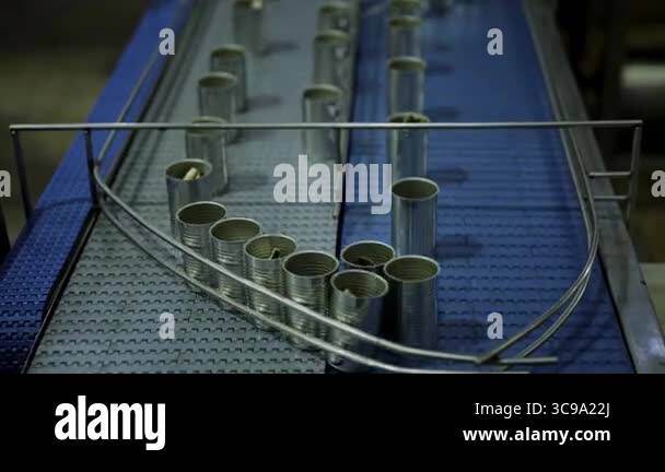 Conveyor system transporting open metal cans in a fish canning factory ...