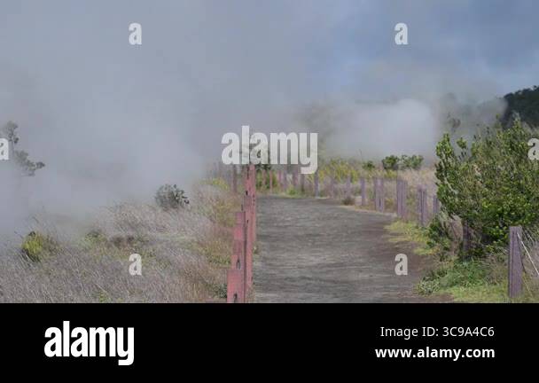 Video of Steam escaping a vent at Hawaii Volcanoes National Park. High ...