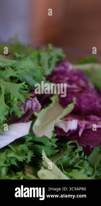 green and purple lettuce leaves in a plate in a buffet Stock Video ...