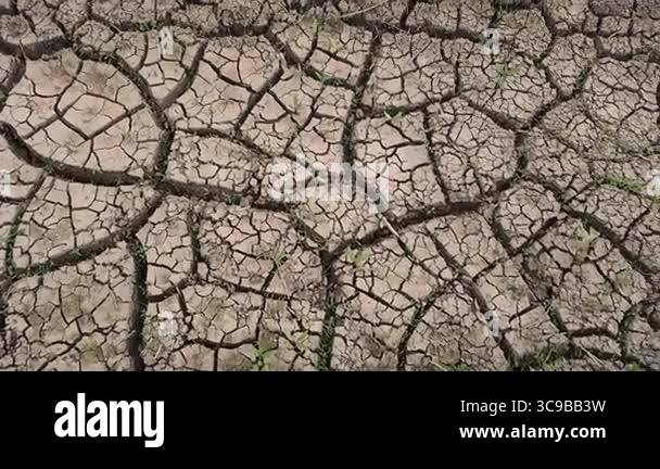 Landscape with textured dry earth Stock Video Footage - Alamy