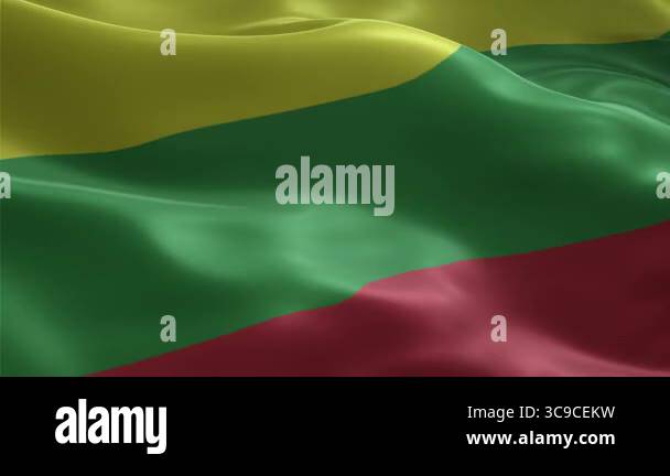 Official lithuania symbol Stock Videos & Footage - HD and 4K Video ...