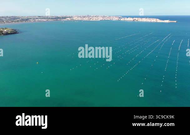 Aerial view shows rows of mussel buoys floating in clear blue water ...