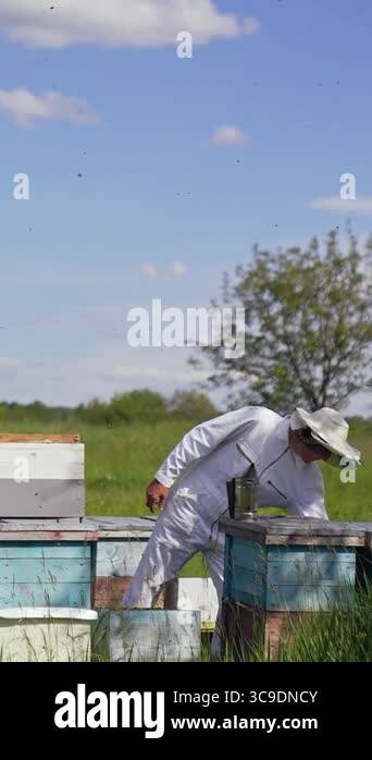 Wooden beehives in beautiful landscape. Beekeeper works with bees in ...