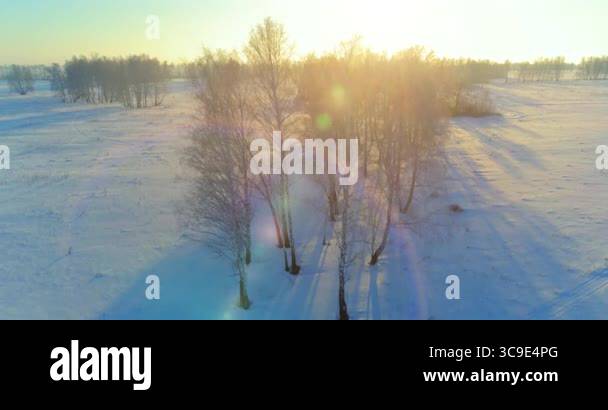 Aerial drone view of cold winter landscape with arctic field, trees ...