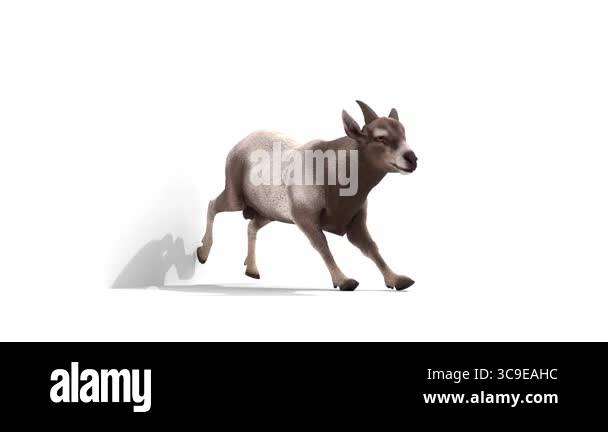 mountain goat running animation Stock Video Footage - Alamy