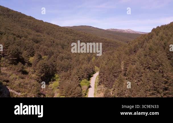 Spectacular mountainous landscape with tall trees and sharp rocks ...