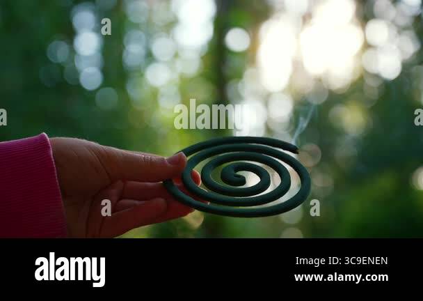 Green mosquito coil Insect repellent outdoors during summer. Trying to ...