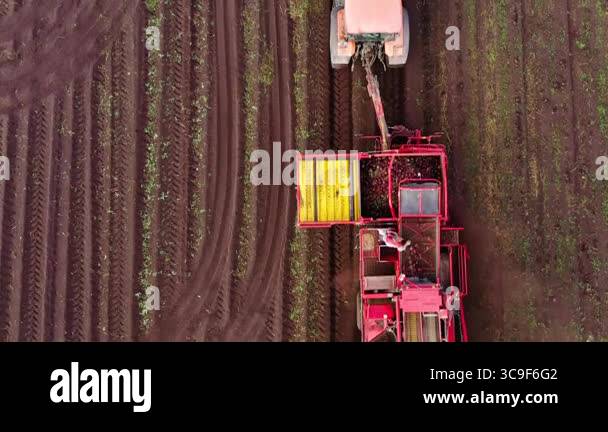 Red farm agricultural combine Stock Videos & Footage - HD and 4K Video ...