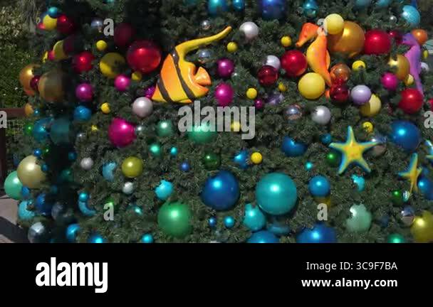 Brightly colored balls and marine-themed decorations create a joyful ...