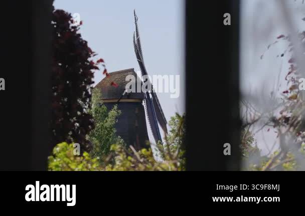 A traditional Dutch windmill turns slowly in the breeze, surrounded by ...