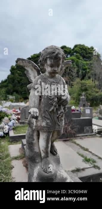 Angel Statue Holding Flowers in Cemetery. High quality 4k footage Stock ...