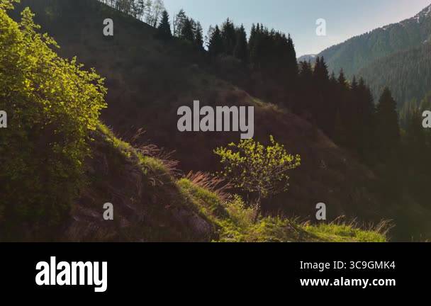 Beautiful aerial drone scenery of the river in the mountains and green ...