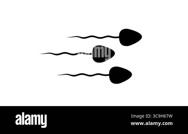 Seamless sperm cell animation loop. White background motion design for ...