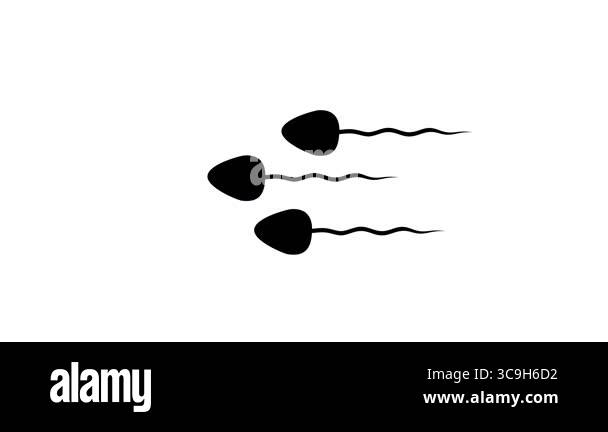 Looping sperm cell animation on white background. Perfect for ...