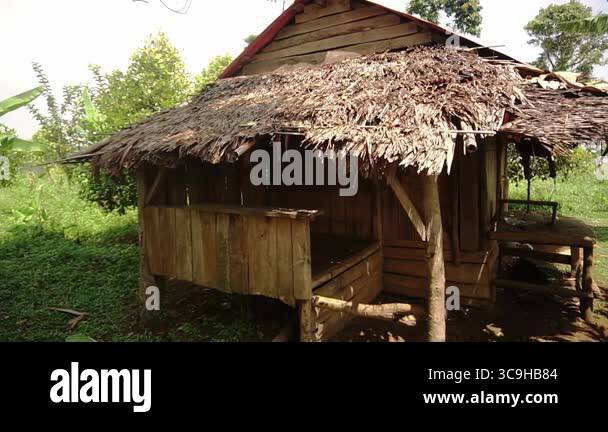A rustic wooden hut with a thatched roof, surrounded by lush greenery ...