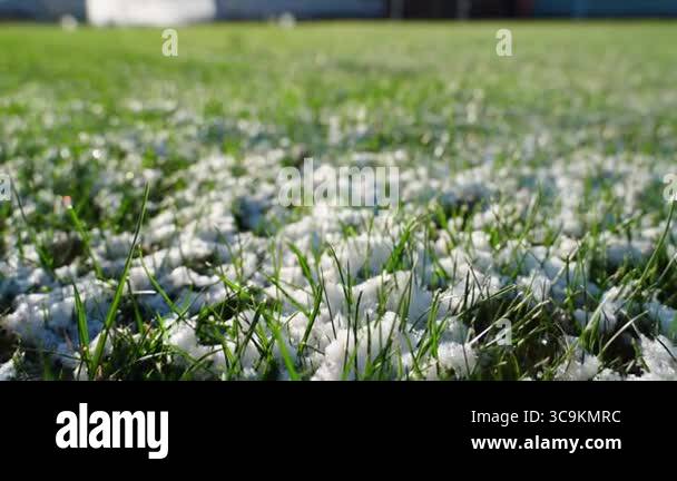 Smooth camera movement over green grass with melting snow on a sunny ...