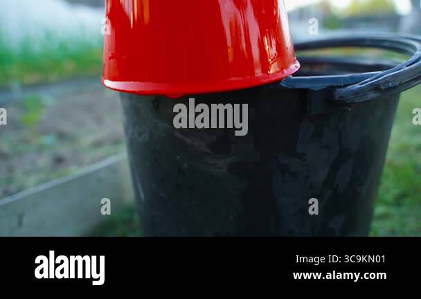 Close-up of a drop of water dripping from a pot on a bucket. Watering ...
