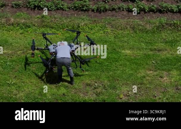 Engineers inspect agricultural drones flying over rice fields, spraying ...