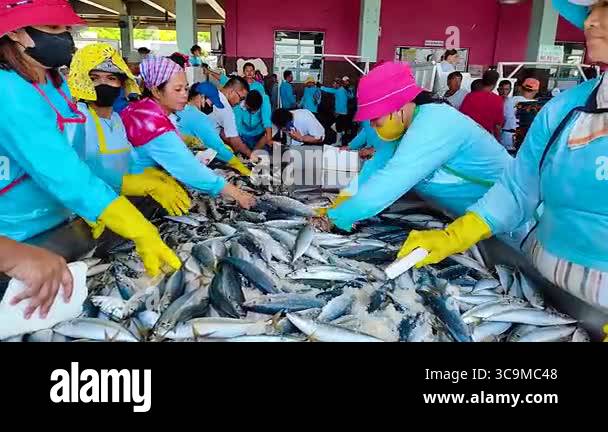 Busy people working on fishes over the tables in General Santos City ...