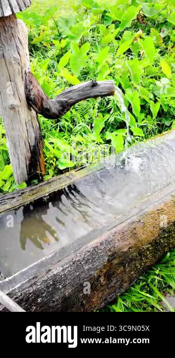 Rustic trough Stock Videos & Footage - HD and 4K Video Clips - Alamy