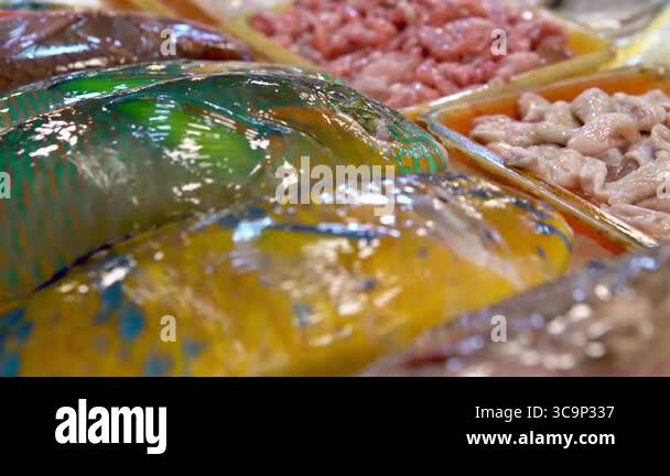 Vibrant parrotfish and assorted seafood cuts displayed at a fresh fish ...