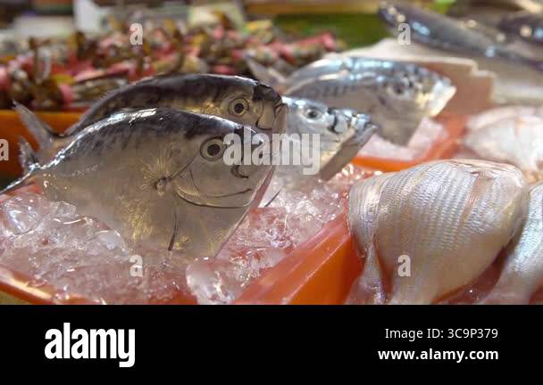 Freshly caught fish displayed on ice at a seafood stall in Kaohsiung ...