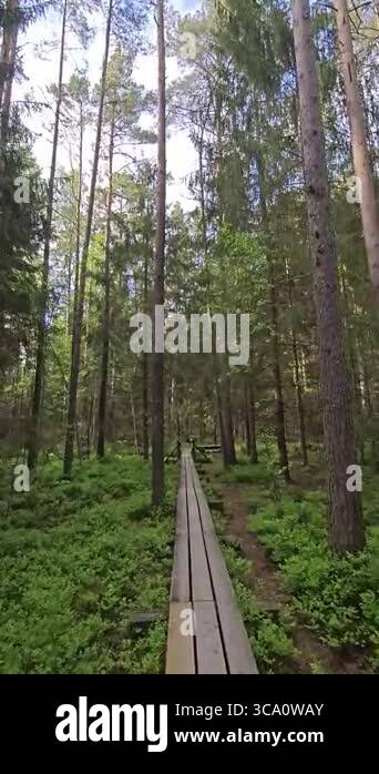 Walking nature trail in slow motion Stock Videos & Footage - HD and 4K ...