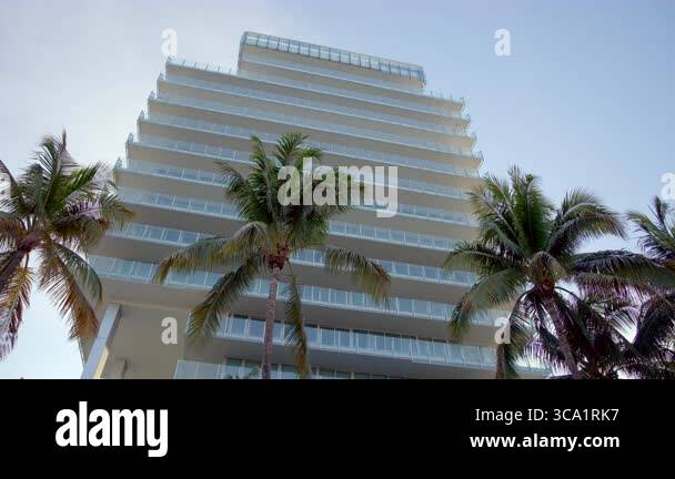Building and palms Miami scene 8k 24p Stock Video Footage - Alamy