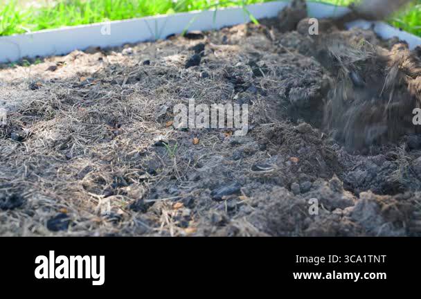 Digging up the soil of a vegetable garden bed with a flat cutter, close ...