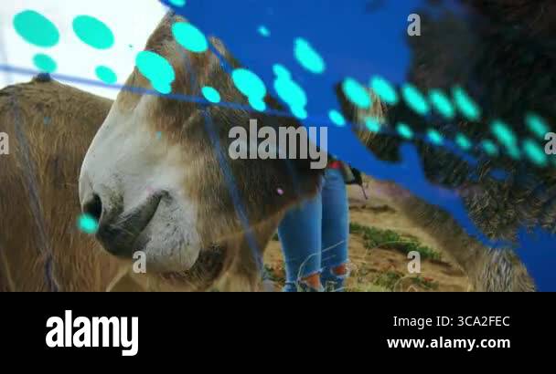 Donkey head merging field with holographic interface for tech demo ...