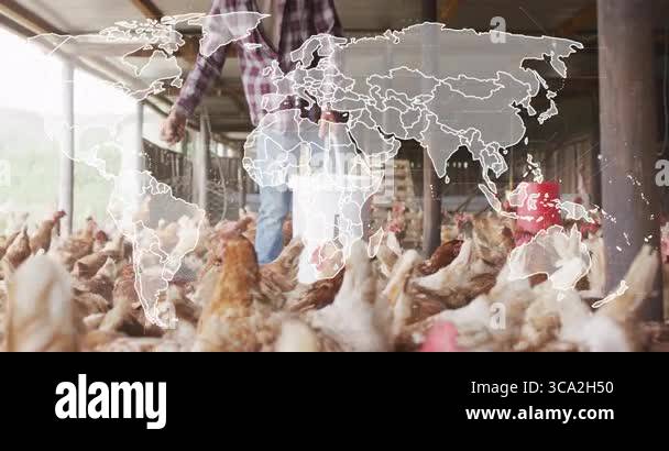 Male farmer feeding chickens inside wooden coop, showing agriculture ...
