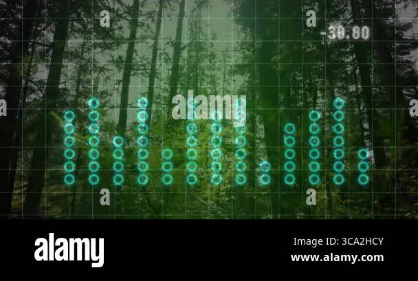Neon histogram overlay floating across misty forest canopy, showing ...