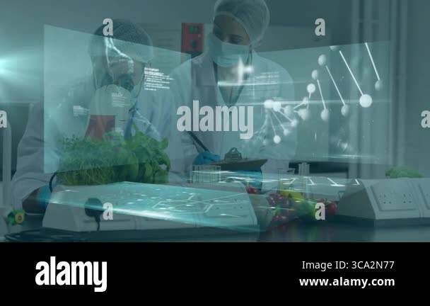 Scientists examining fresh produce on lab bench, showcasing holographic ...