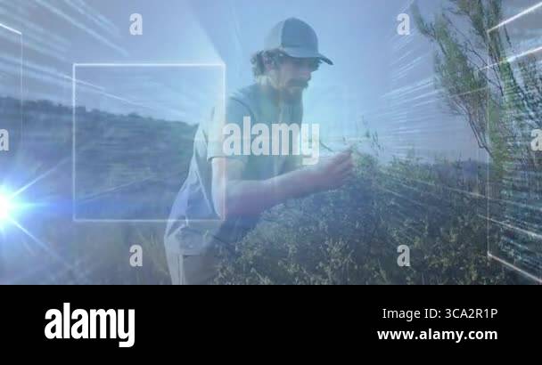 Man crouching among dry shrubs, inspecting plant health with floating ...