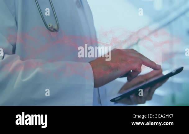 male doctor reviewing data on tablet in clinical corridor, showing ...