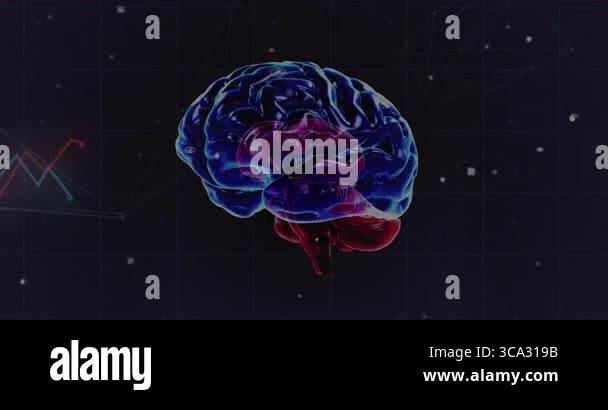 3D brain model glowing red and blue floating above dark grid, with mesh ...