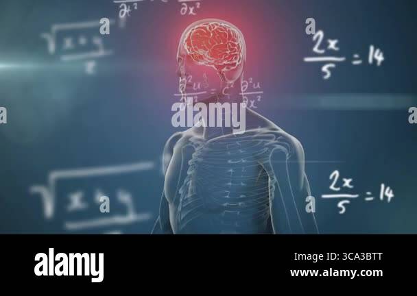 Anatomy figure showing skeleton outline Stock Videos & Footage - HD and ...