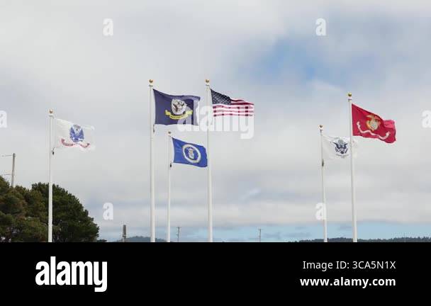 Flags of the united states armed forces Stock Videos & Footage - HD and ...
