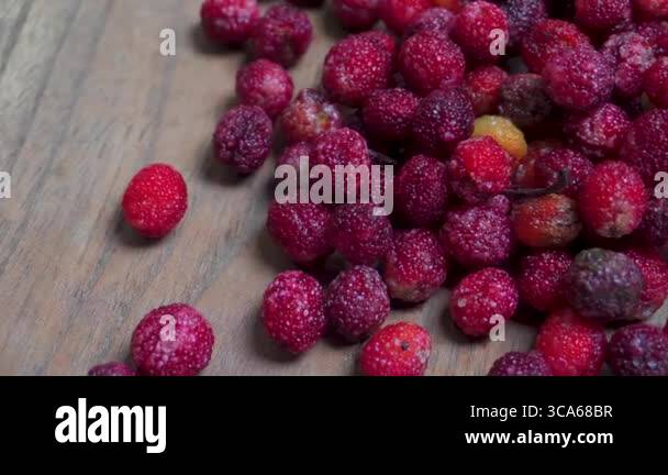 Kafal fruit Stock Videos & Footage - HD and 4K Video Clips - Alamy