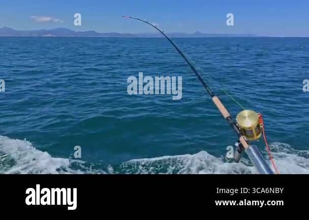 Trolling fishing with tuna fish attack forage fish and seagulls fishing ...