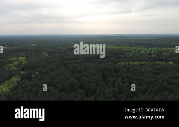 Forest terrain Stock Videos & Footage - HD and 4K Video Clips - Alamy