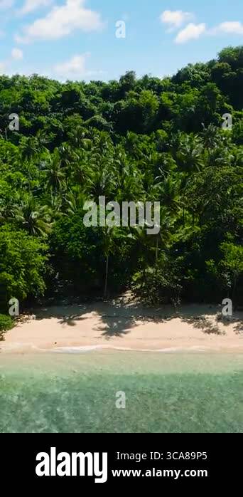 Aerial view of small beach with coconut trees and waves. Romblon ...