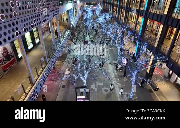 Festive City Lights and Flowing Crowds: A Holiday Glow in Motion Stock ...