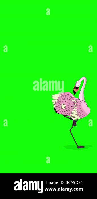 Pink Flamingo. Handmade 2D animated HD footage isolated on green screen ...