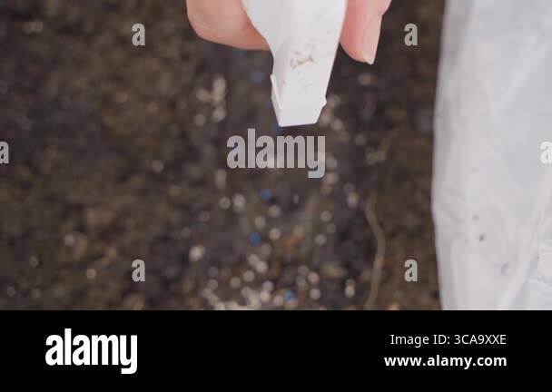 Spraying soil with seeds from a sprayer, close-up in slow motion . High ...