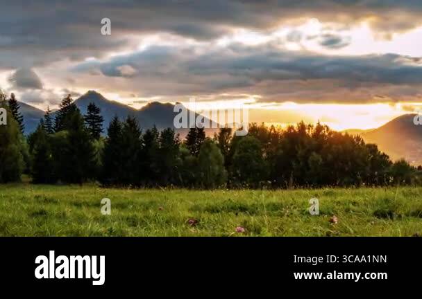Vibrant sunset sky over forested mountain landscape in summer evening ...