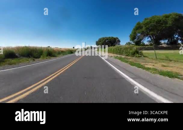Northern California Mormon Crickets Swarm 2023 03 Front View Driving ...