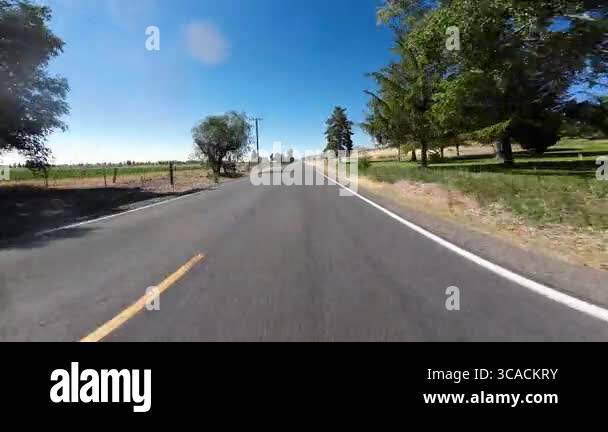 Northern California Mormon Crickets Swarm 2023 01 Front View Driving ...