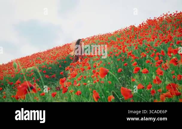 Silhouette happy romantic cheerful woman, enjoying nature in summer green blooming poppy field ...