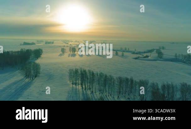 Drone aerial view of cold winter landscape arctic field, trees covered ...